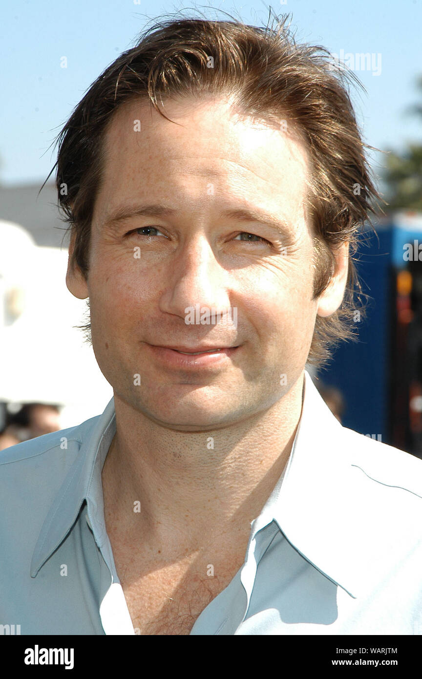 David Duchovny at the 20th IFP Independent Spirit Awards held at the ...