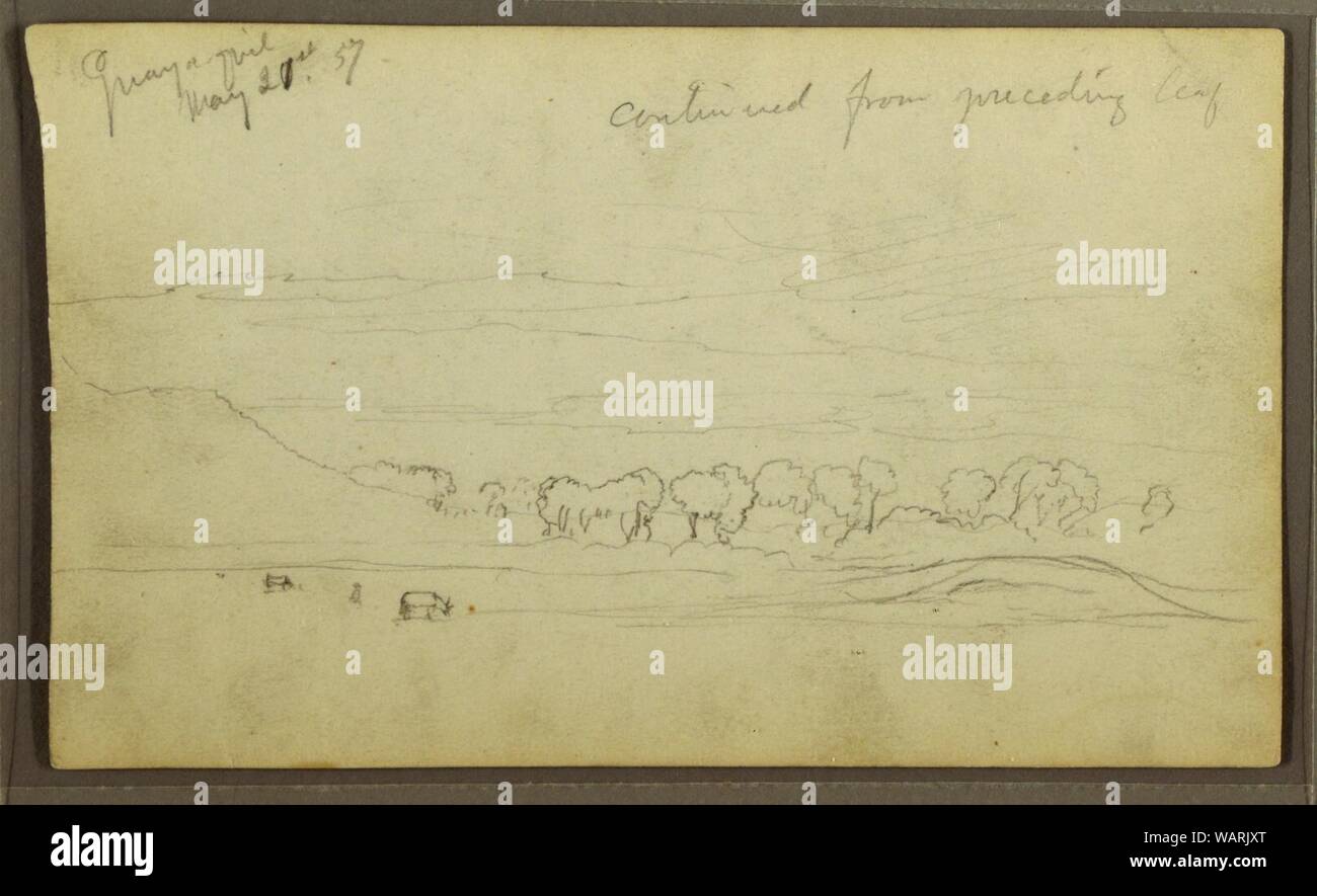 Drawing, Landscape, Guayaquil, Ecuador, May 21, 1857 Stock Photo - Alamy