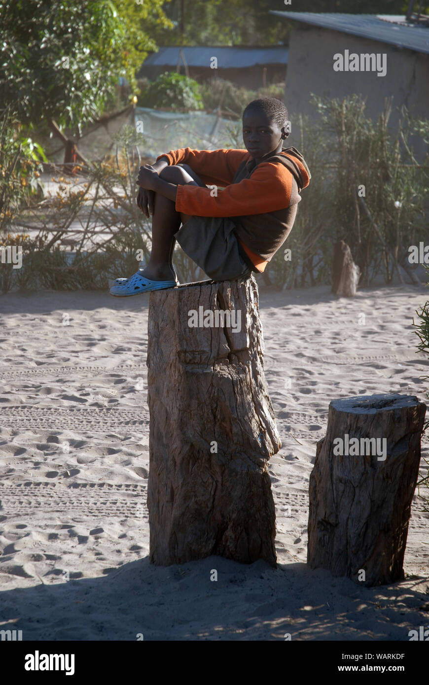 Boy sat on tree stump, Mwandi, Zambia, Africa Stock Photo - Alamy