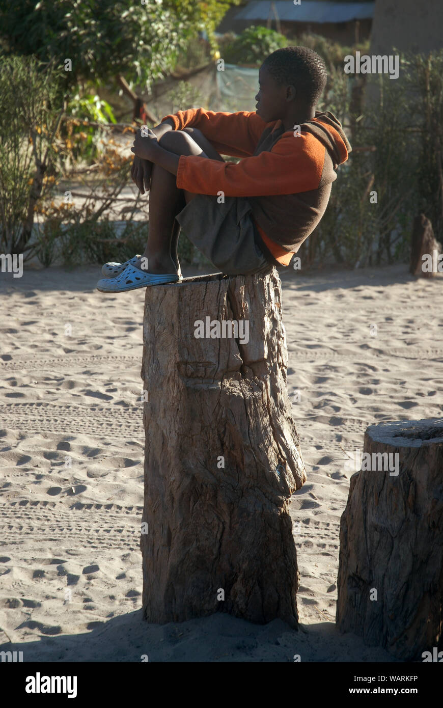 Boy sat on tree stump, Mwandi, Zambia, Africa Stock Photo - Alamy