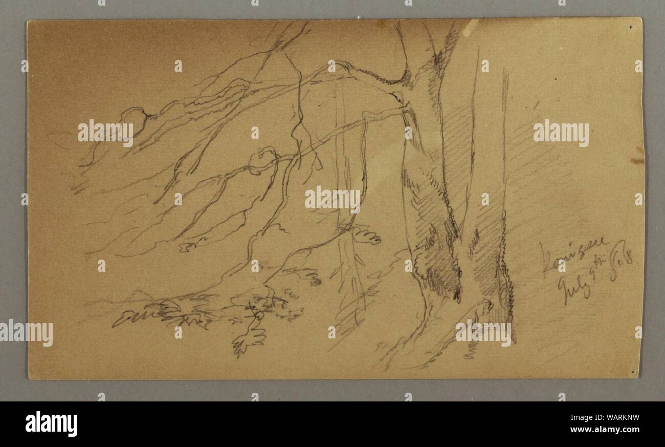 Drawing, Lower half of Tree, July 9, 1868 Stock Photo - Alamy