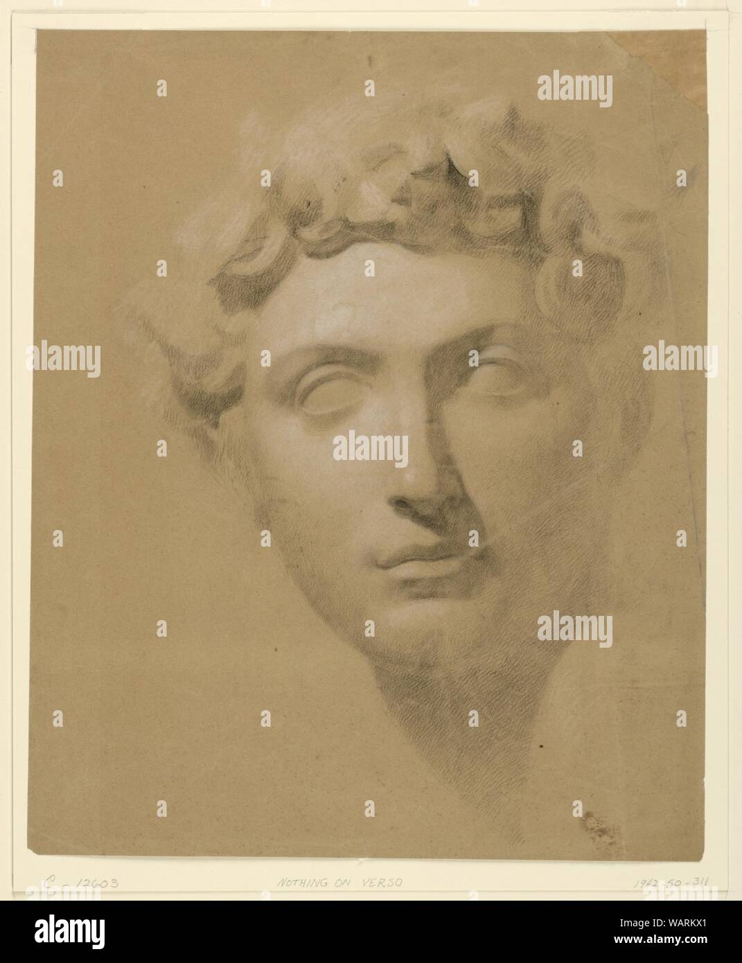 Drawing, Male Head From a Plaster, 1840 Stock Photo - Alamy