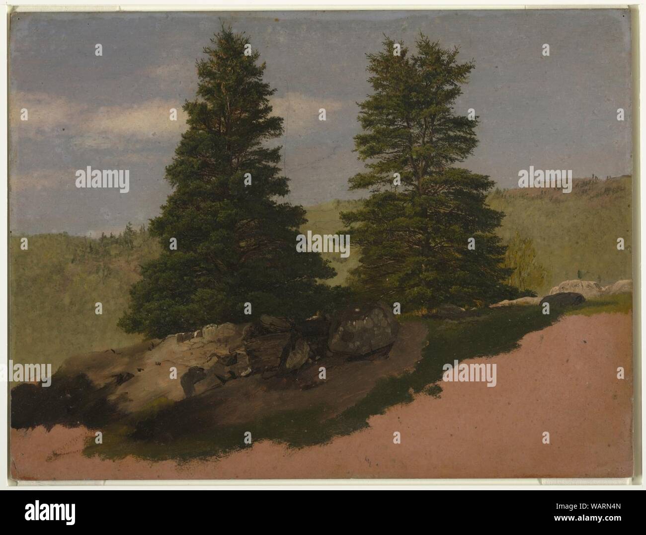Drawing, New England Landscape (Two Pine Trees), 1850 Stock Photo - Alamy