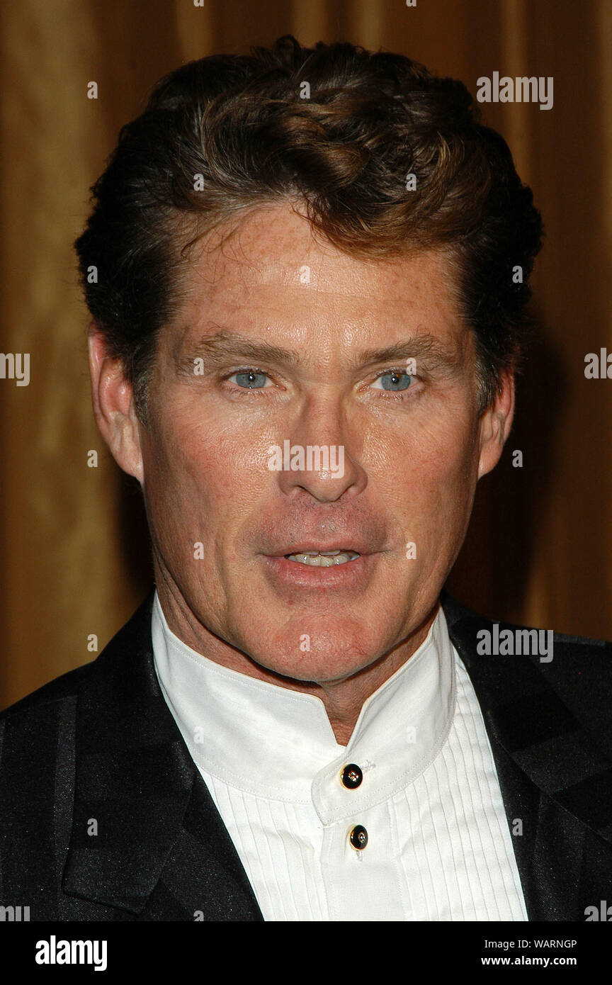David Hasselhoff at the 57th Annual DGA Awards - Arrivals held at the ...