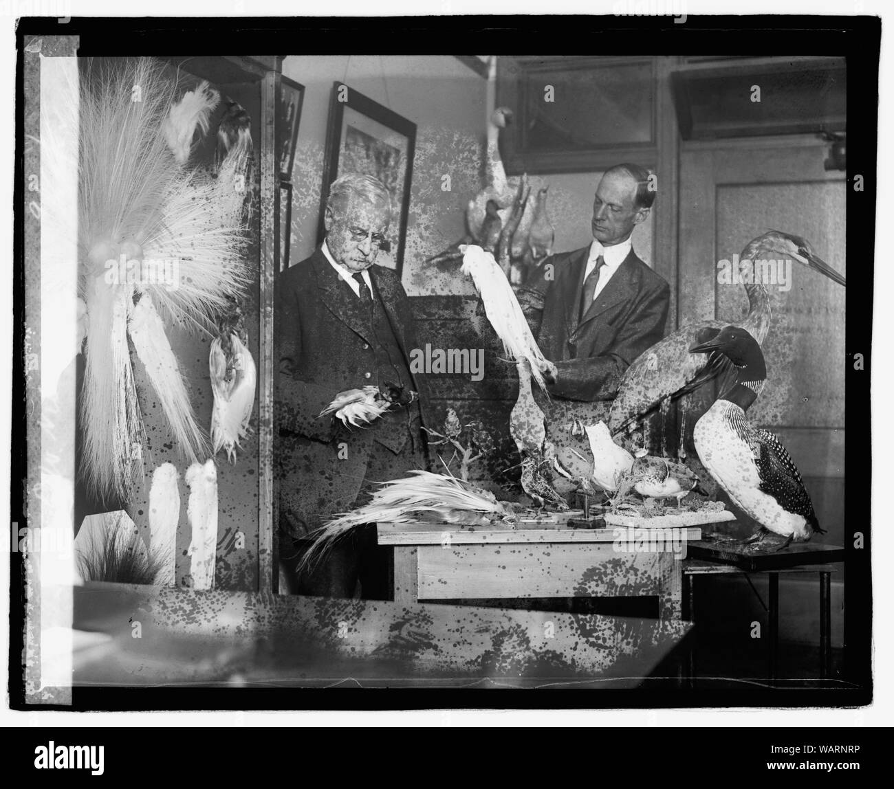 Dr. E.W. Nelson, 9/22/22 Stock Photo - Alamy