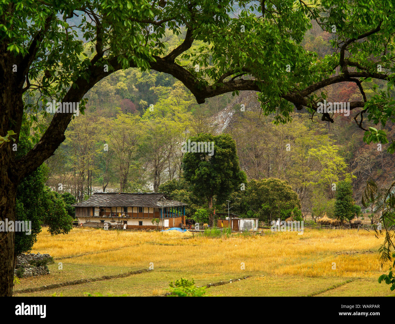 Khet village hi-res stock photography and images - Alamy