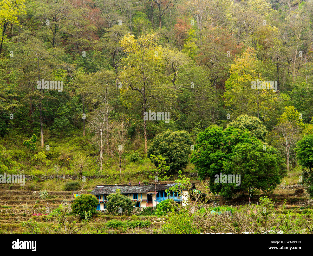 Sem Village at the bank of the Ladhya river made famous by Jim Corbett ...
