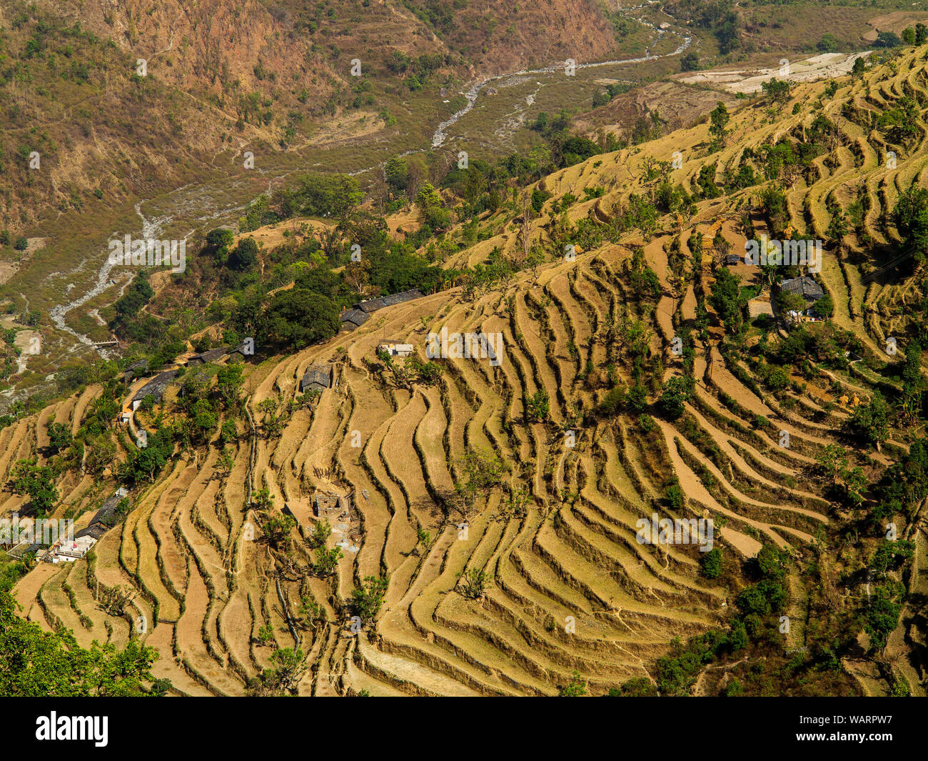 Extensive terraced fields at the remote village of Dalkanya on the ...