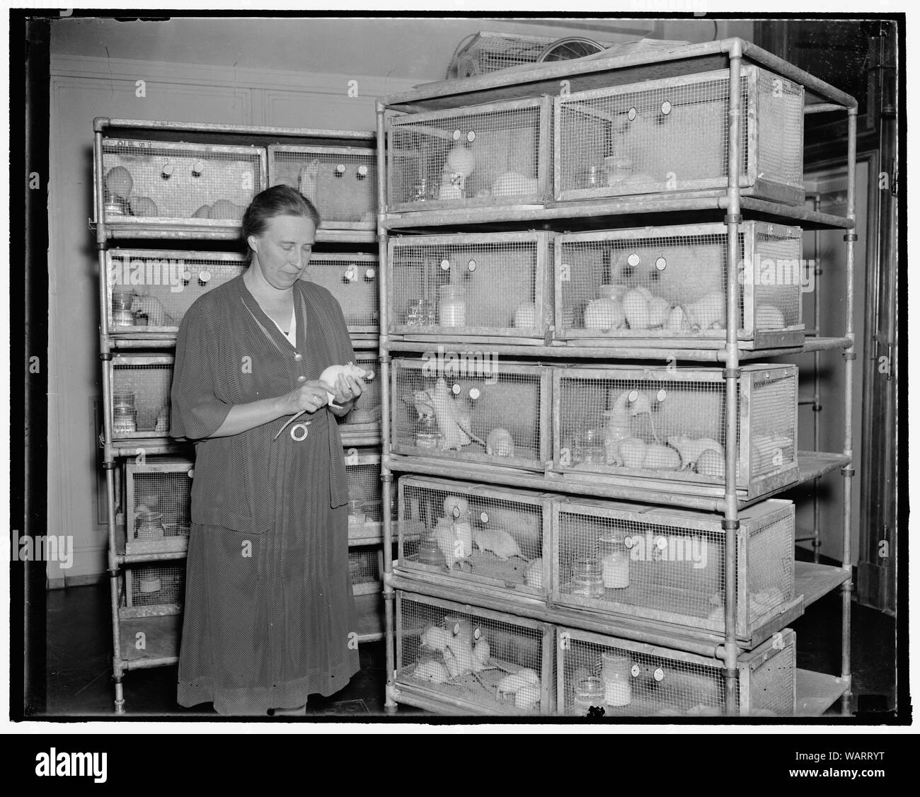 Munsell hi-res stock photography and images - Alamy
