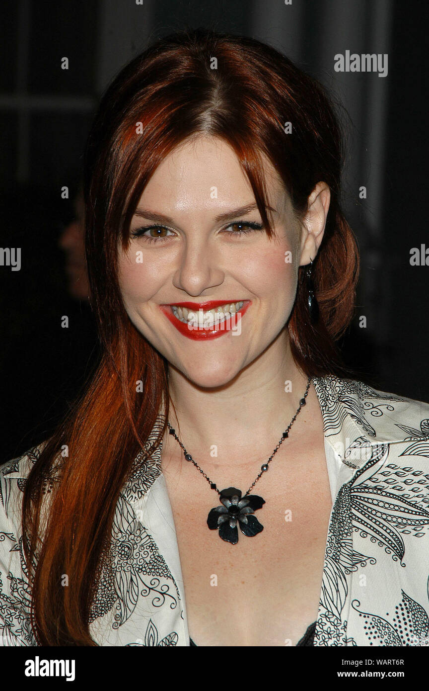 Sara Rue at the 2005 ABC Winter Press Tour All-Star Event held at ...