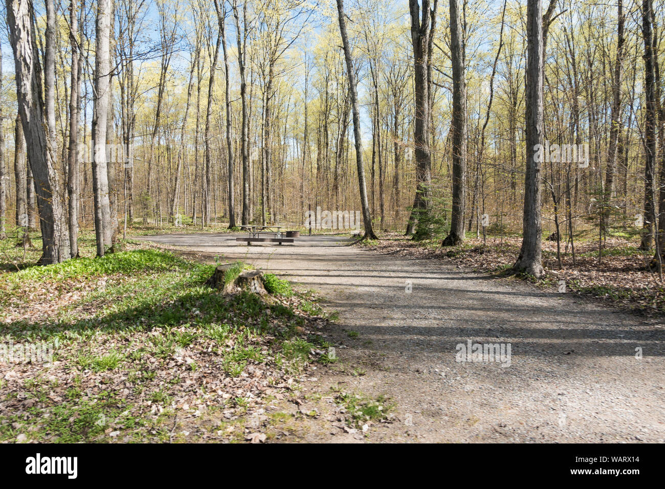 Empty campground hi-res stock photography and images - Alamy