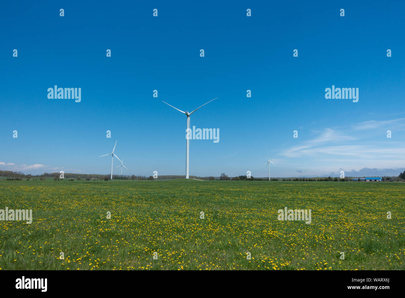 Wind turbines / wind energy farm in Michigan, USA Stock Photo - Alamy