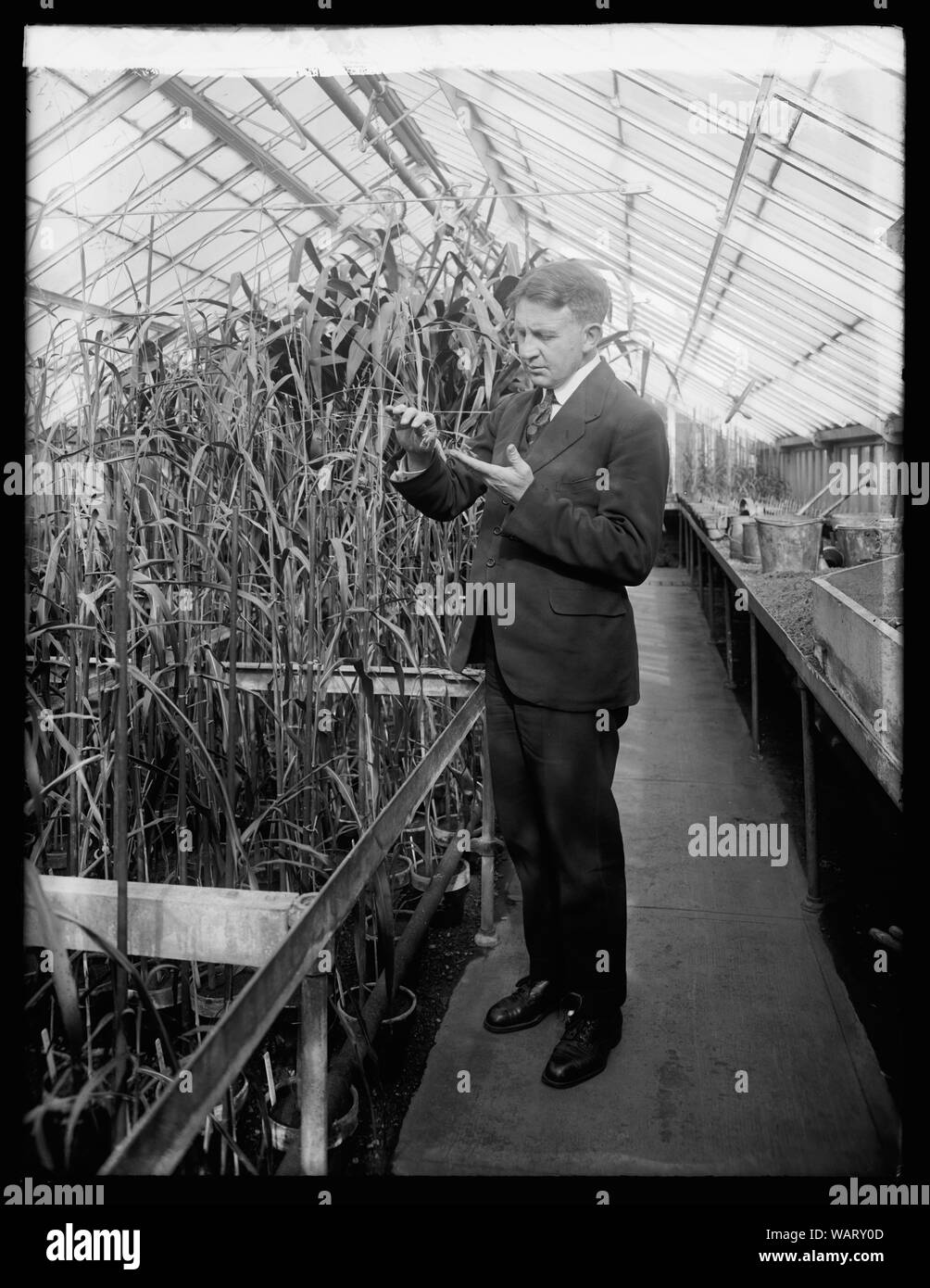 Dr. R.L. Shantz, 1/7/21 Stock Photo - Alamy