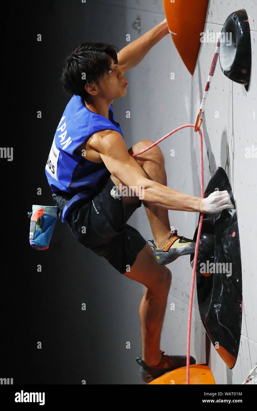 Tokyo, Japan. 21st Aug, 2019. Kai Harada (JPN) Sport Climbing : IFSC ...