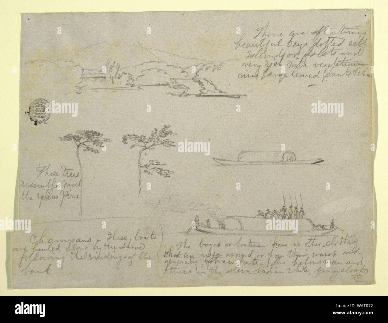 Drawing, Sketches from Colombia- Trees and Rivercraft (Champans), 1853 ...