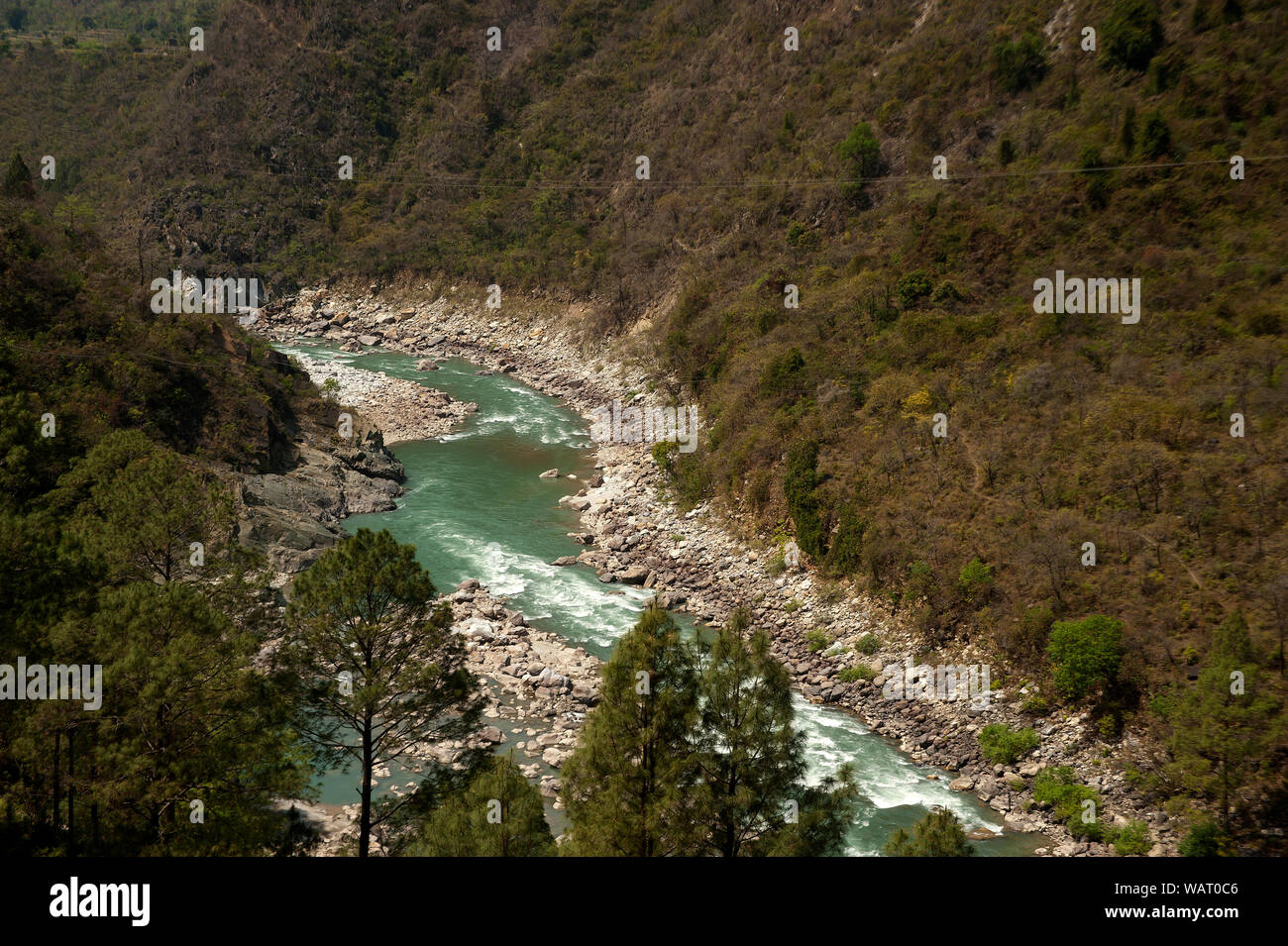 The beautiful green waters of the Kosi river, Kumaon Hills, Uttarakhand ...