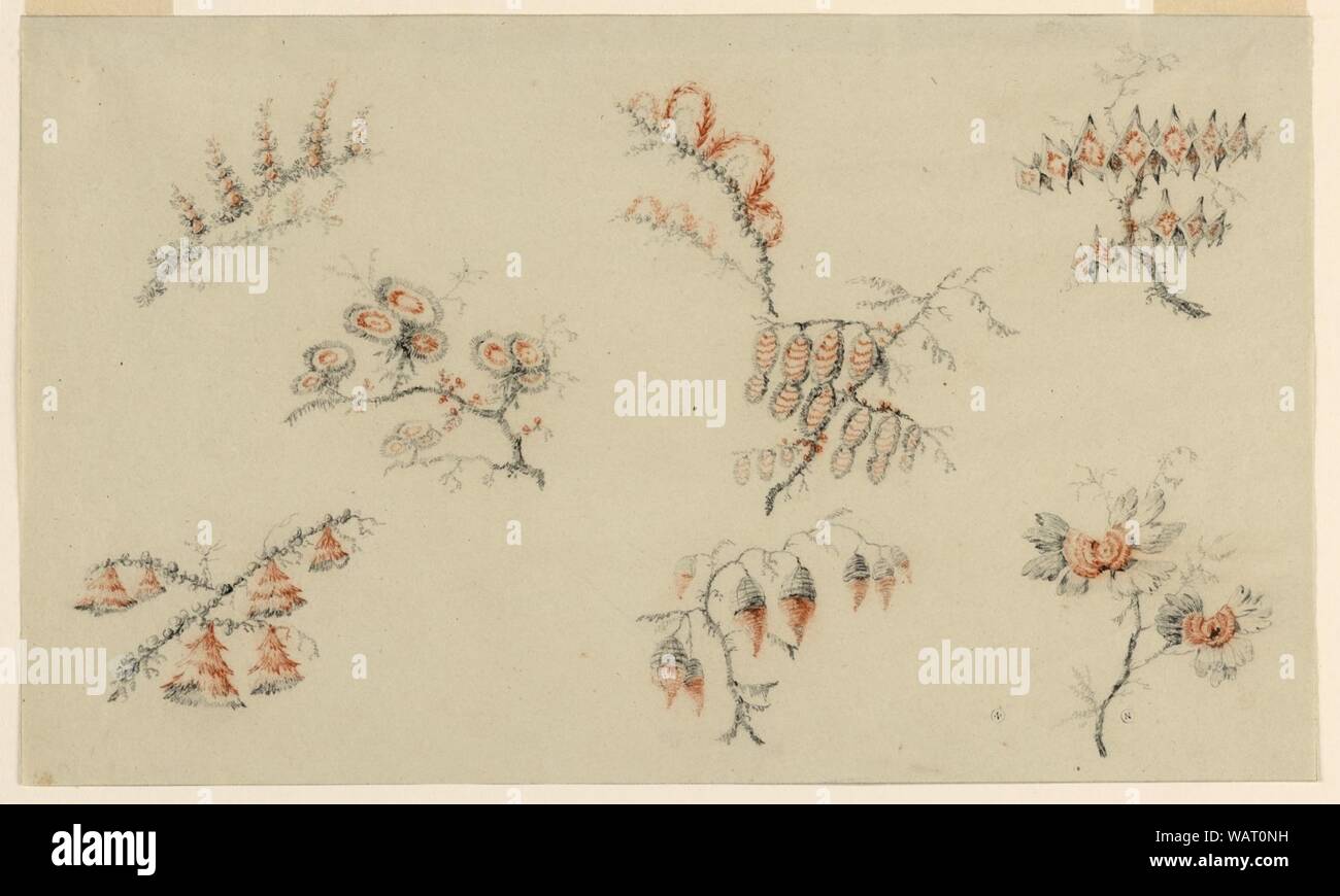 Drawing, Sprays of Seven ideal Flowers and of one quasi naturalistic ...
