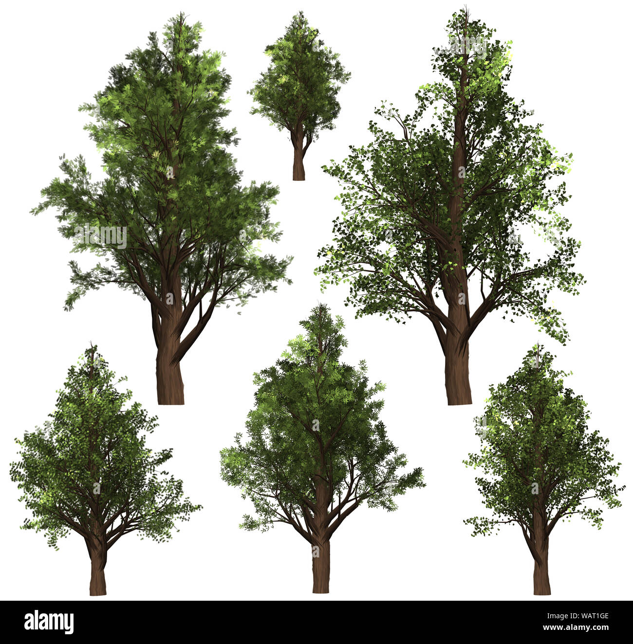 Green Forrest tree background. 3D Illustration. White background ...
