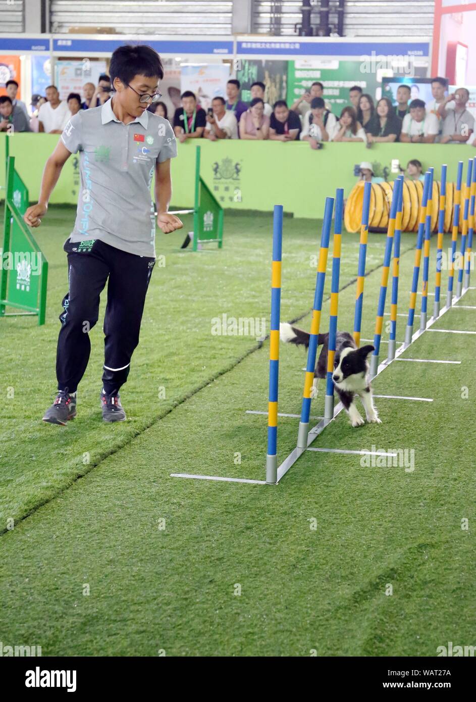 Shanghai, Shanghai, China. 22nd Aug, 2019. Shanghai, CHINA-More than 30 ...