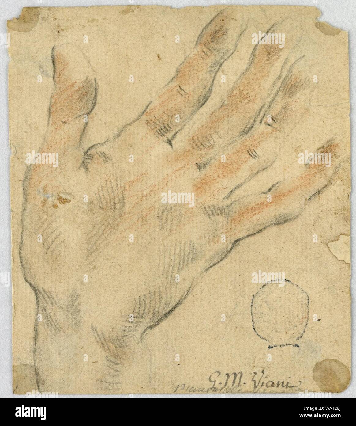 Drawing, Study- A left hand, 1650–1700 Stock Photo - Alamy