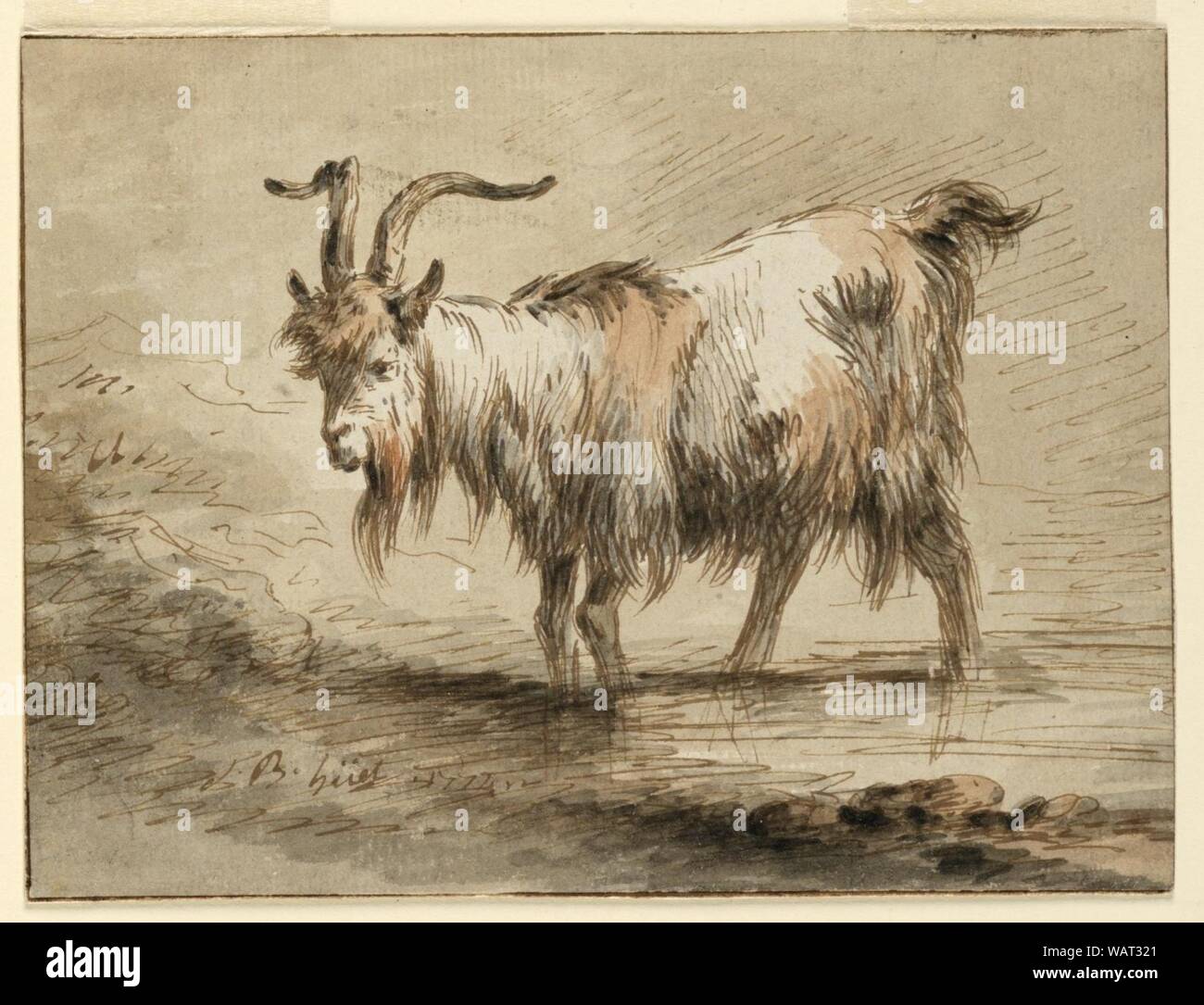 Drawing, Study of a Goat, 1772 Stock Photo - Alamy