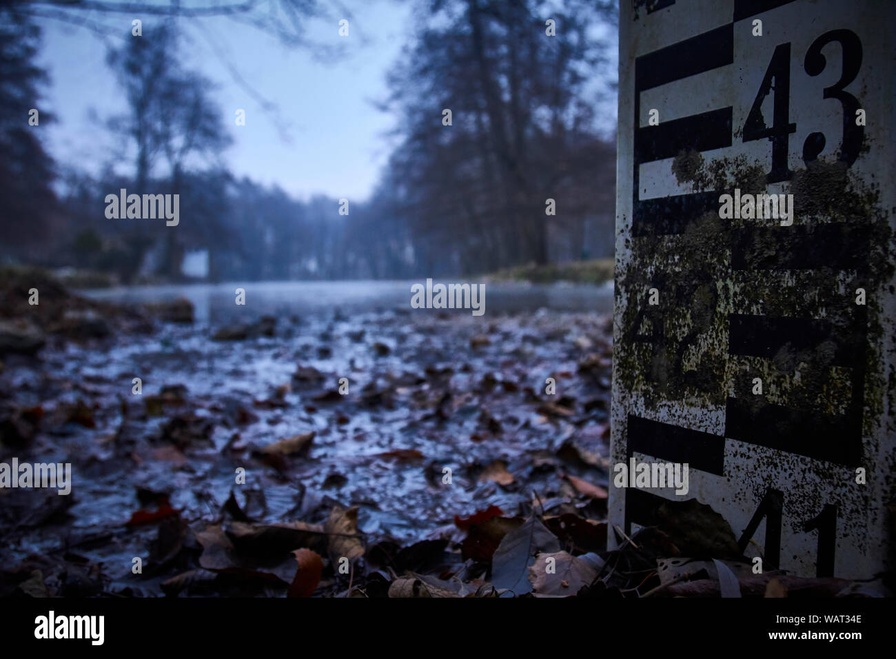 Low level viewpoint hi-res stock photography and images - Alamy