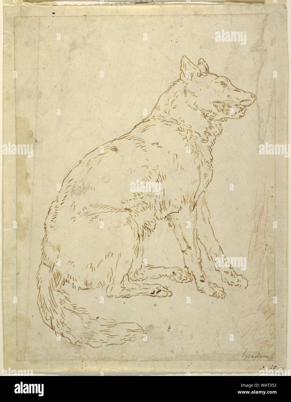 History sheepdog hi-res stock photography and images - Alamy