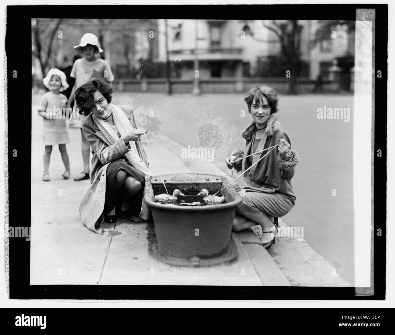 Ducks in watering trough, 4/21/27 Stock Photo - Alamy