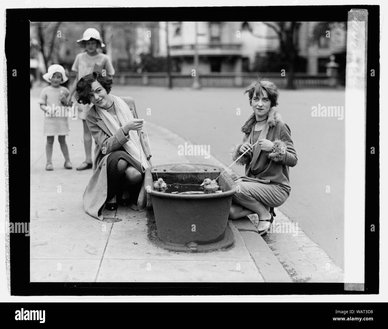 Ducks in watering trough, 4/21/27 Stock Photo - Alamy