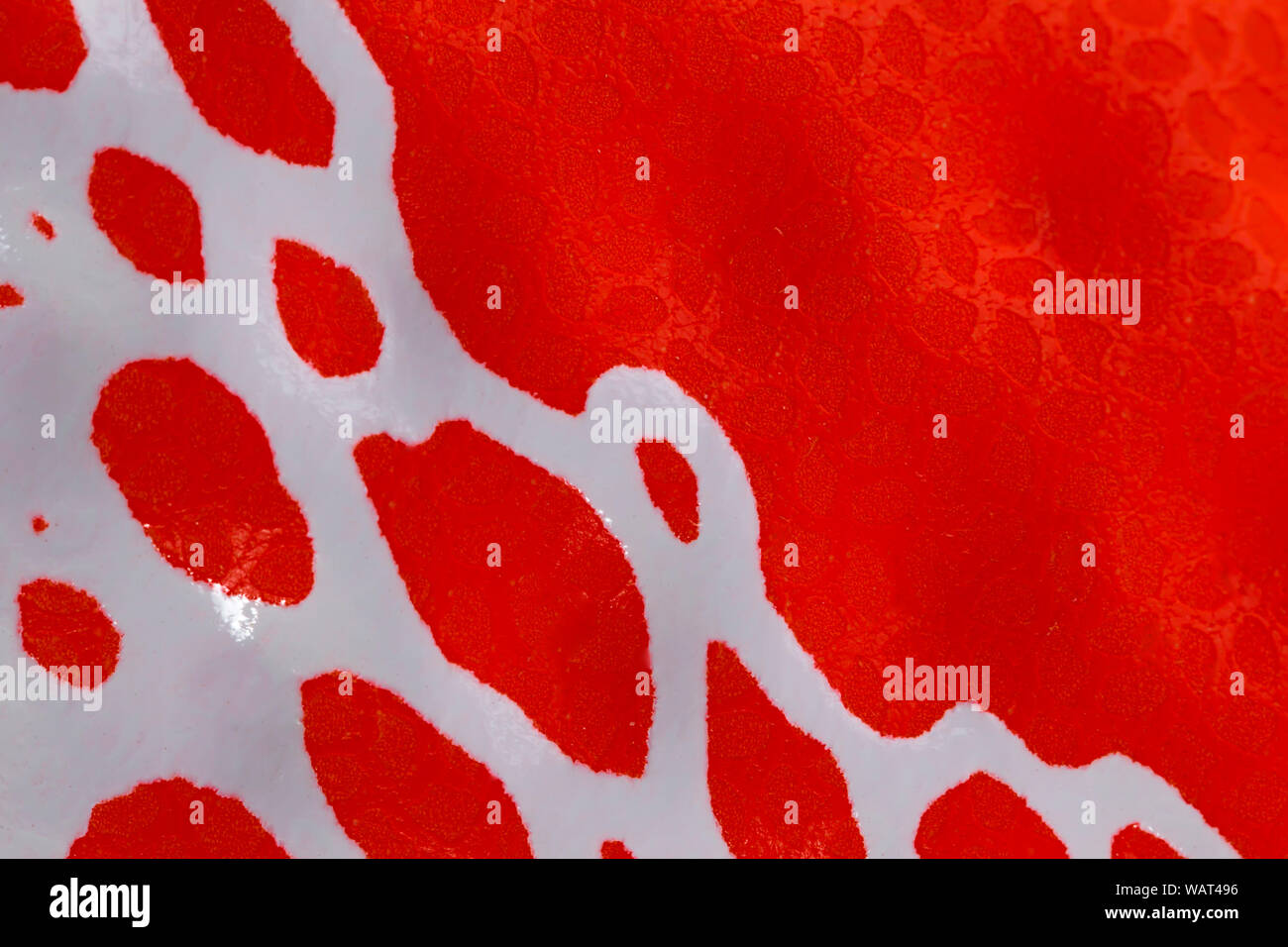 Honeycomb mesh pattern texture red hi-res stock photography and images ...