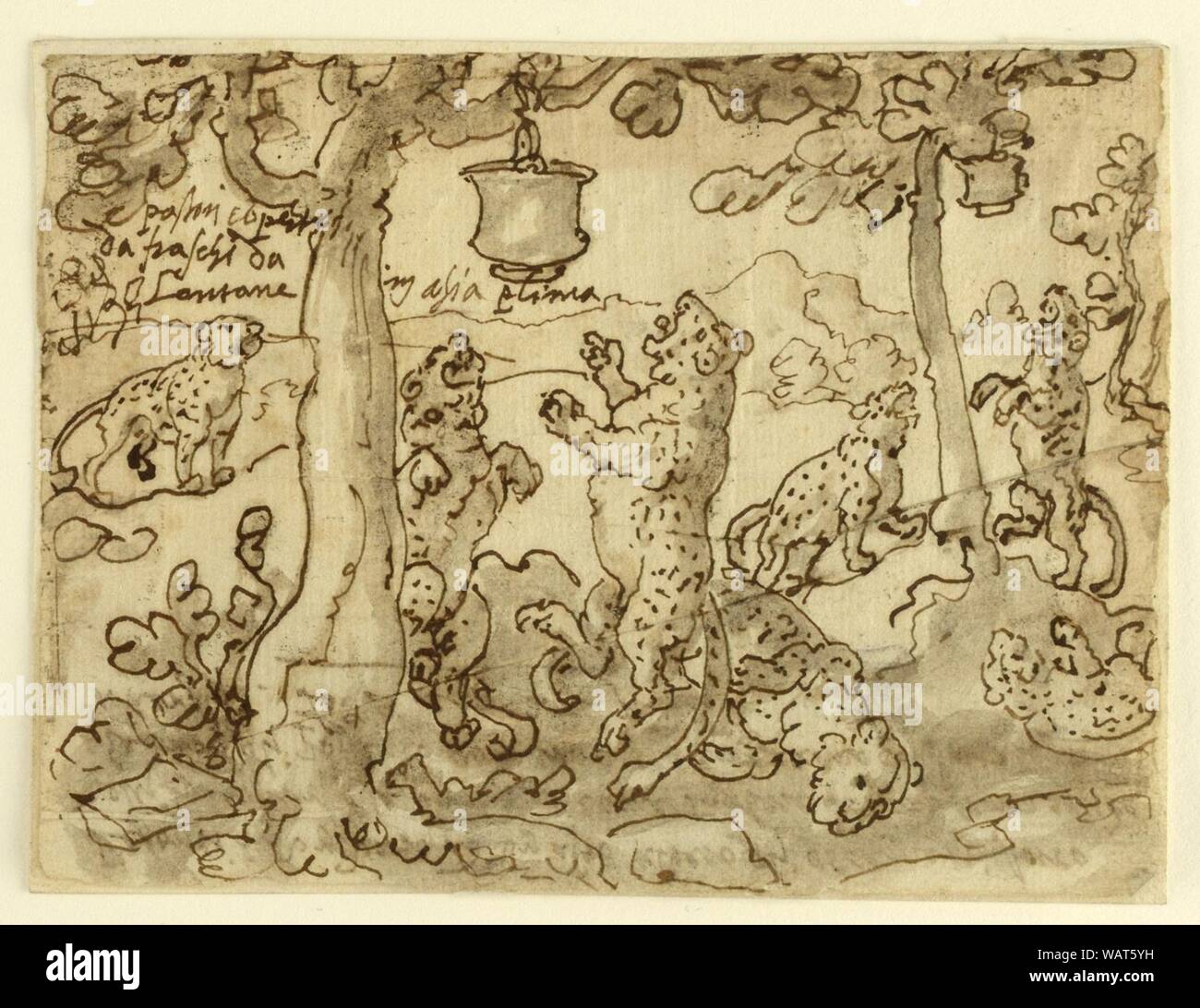 Panther trap hi-res stock photography and images - Alamy