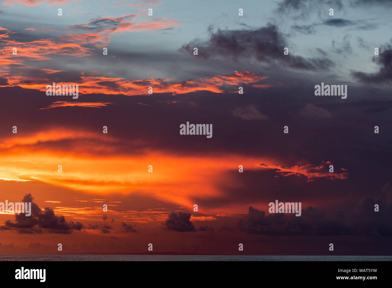 Majestic colorful tropical sunset. Amazing red, orange, pink clouds ...