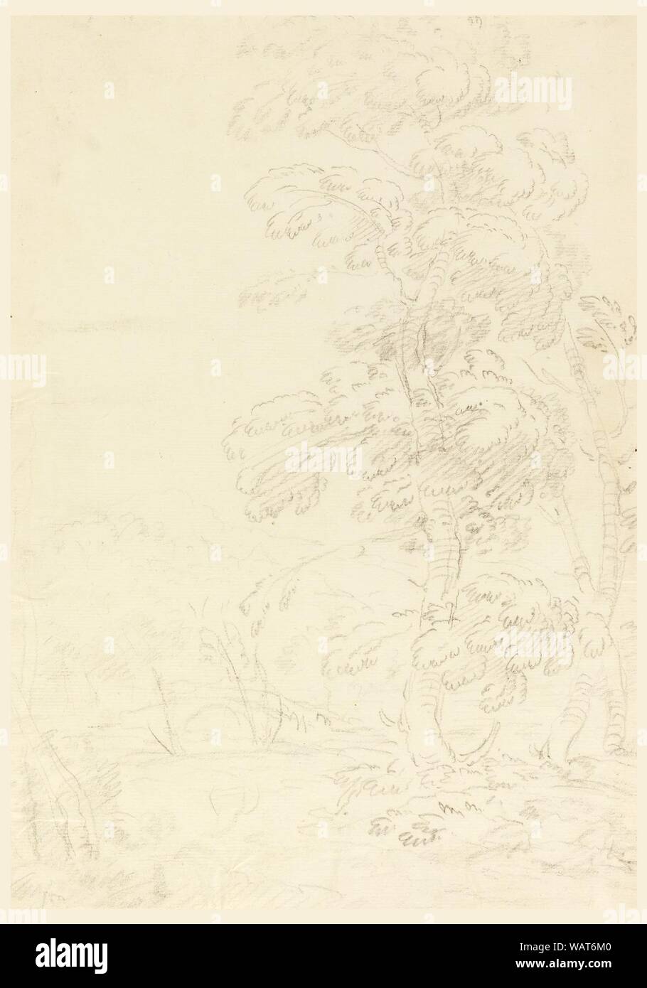 Drawing, Tree in Landscape, early 19th century Stock Photo - Alamy