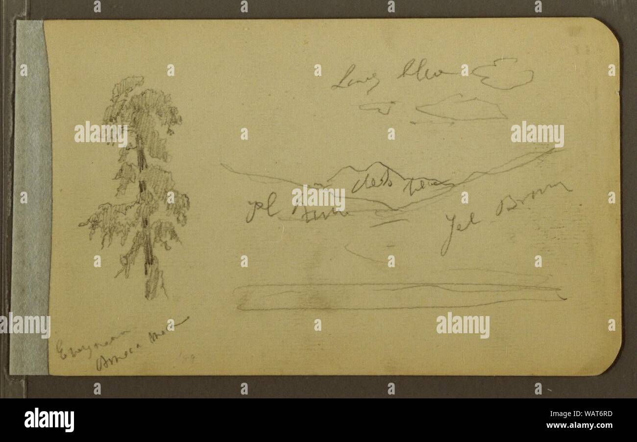 Drawing, Tree, mountains, 1889 Stock Photo - Alamy