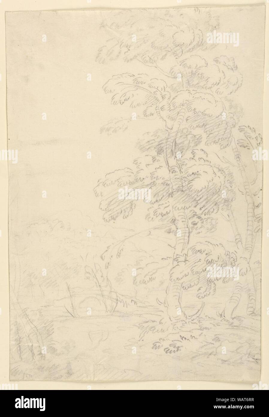 Drawing, Tree in Landscape, early 19th century Stock Photo - Alamy