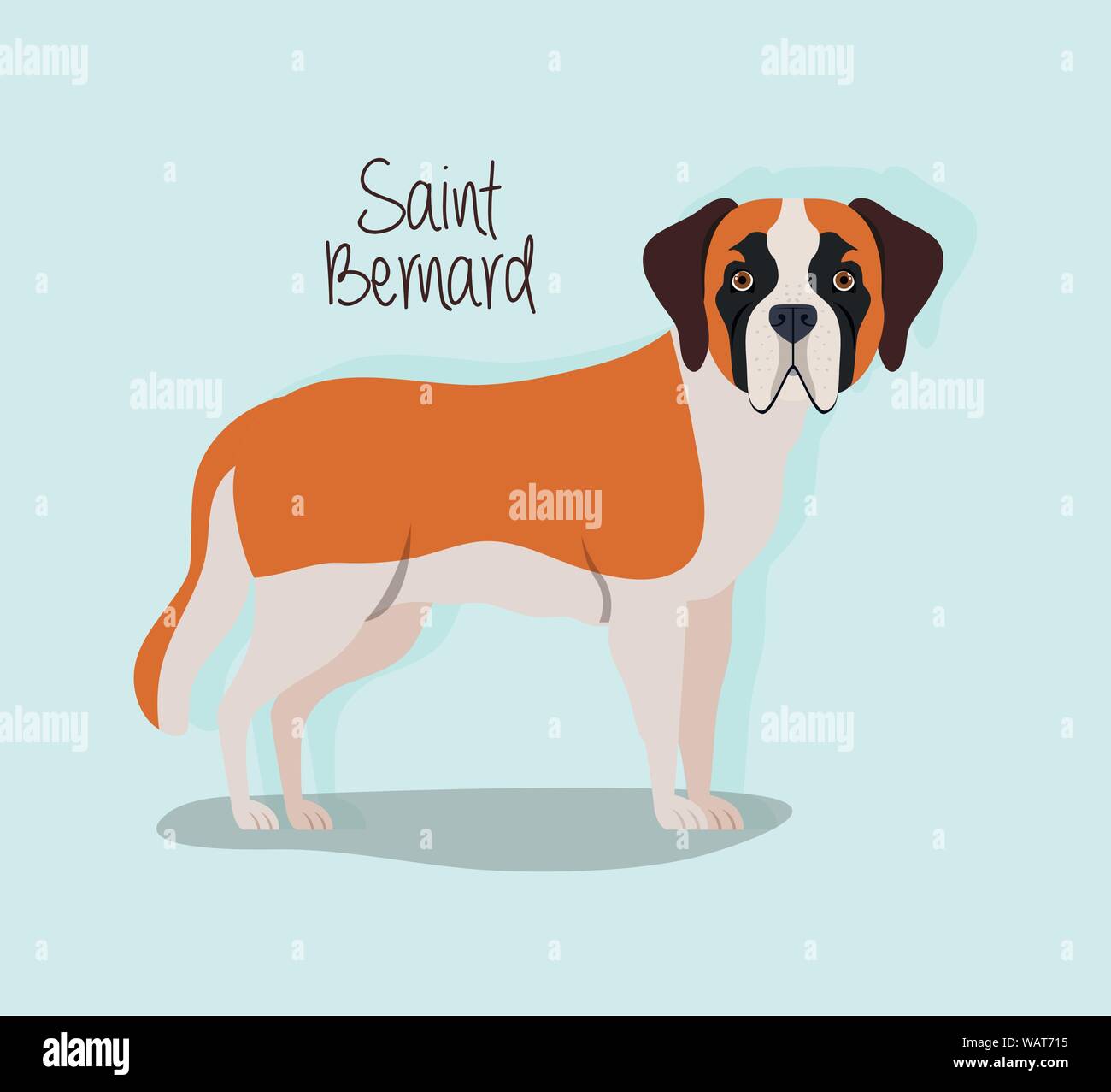 cute saint bernard dog pet character Stock Vector Image & Art - Alamy