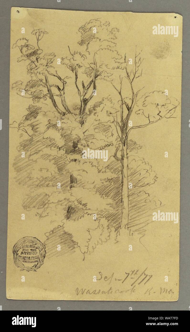 Drawing of trees hi-res stock photography and images - Alamy