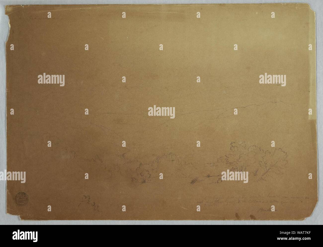 Pandi hi-res stock photography and images - Alamy