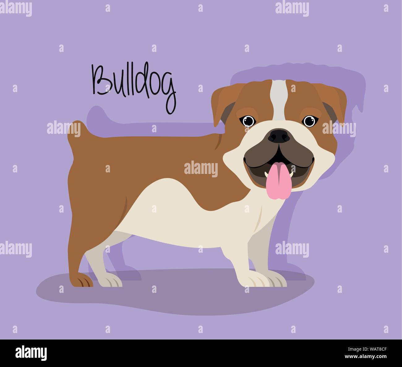cute bulldog dog pet character Stock Vector Image & Art - Alamy