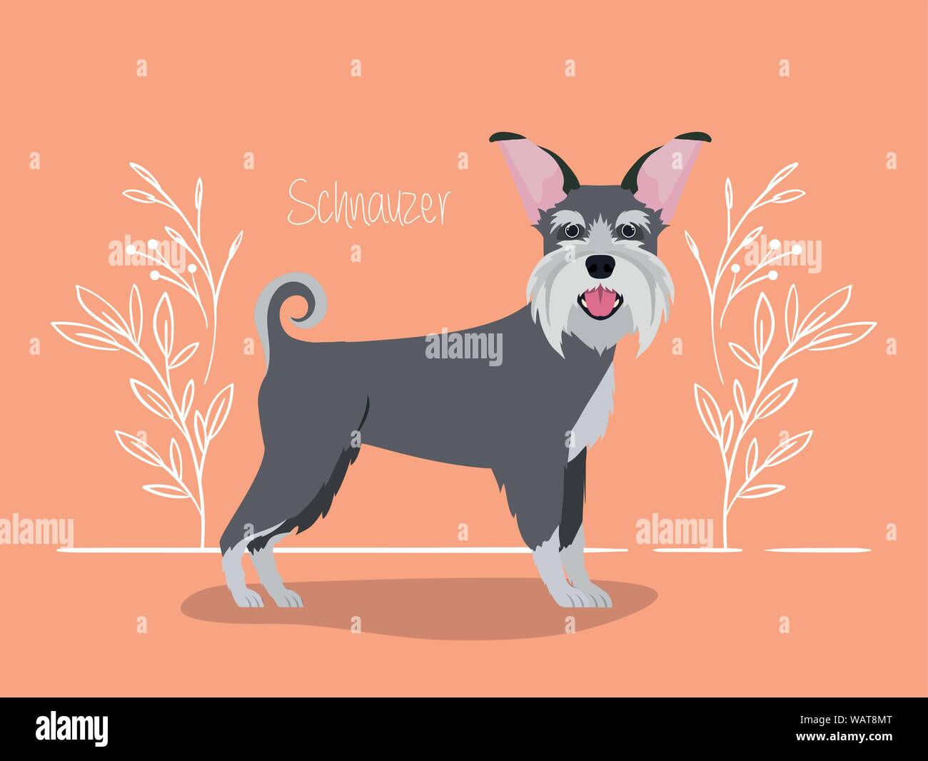 Schnauzer colors hi-res stock photography and images - Alamy