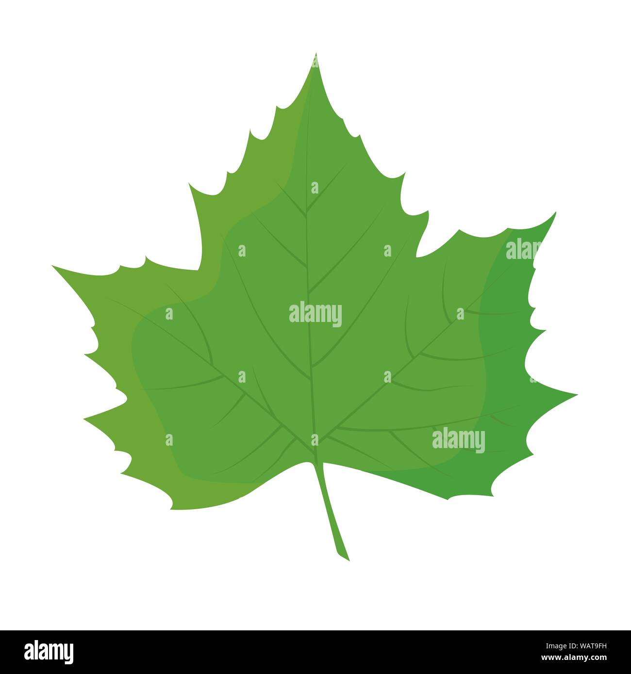 Abstract Green Leaf Stock Vector Image & Art - Alamy
