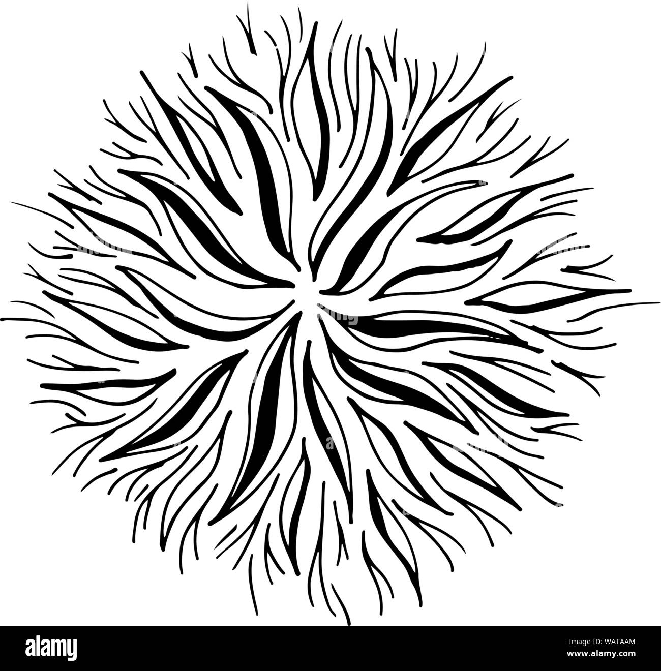 Outline microbe vector icon. Isolated black simple line element ...