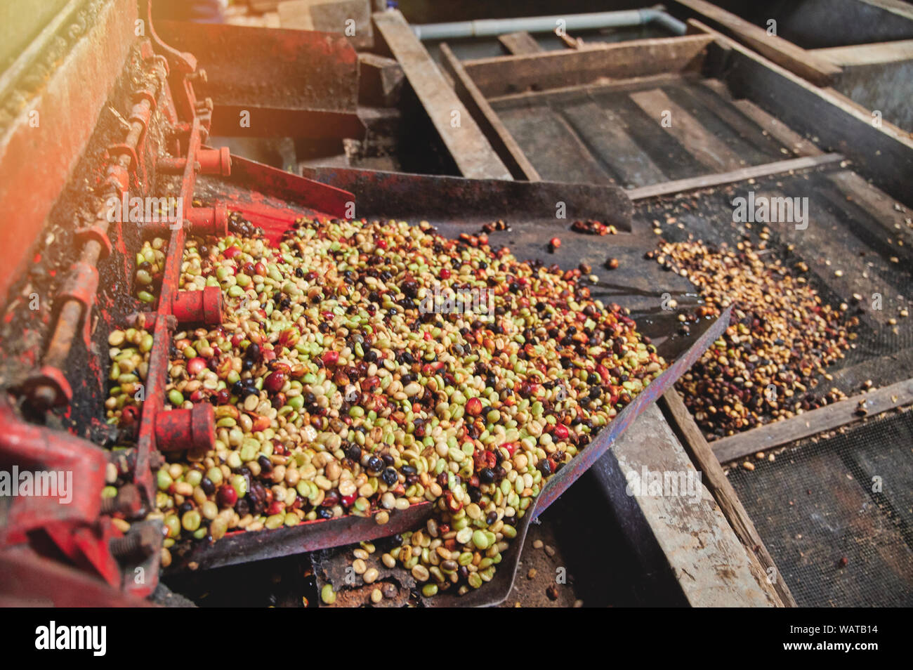 Coffee pulping hi-res stock photography and images - Alamy