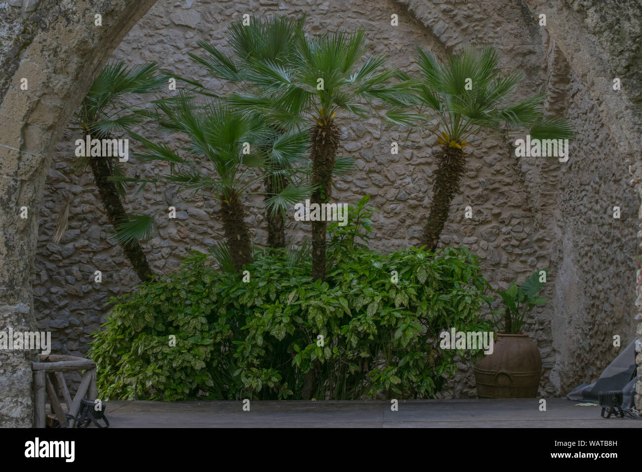 Green corner with palm trees at the Villa Rufolo, historic center of ...