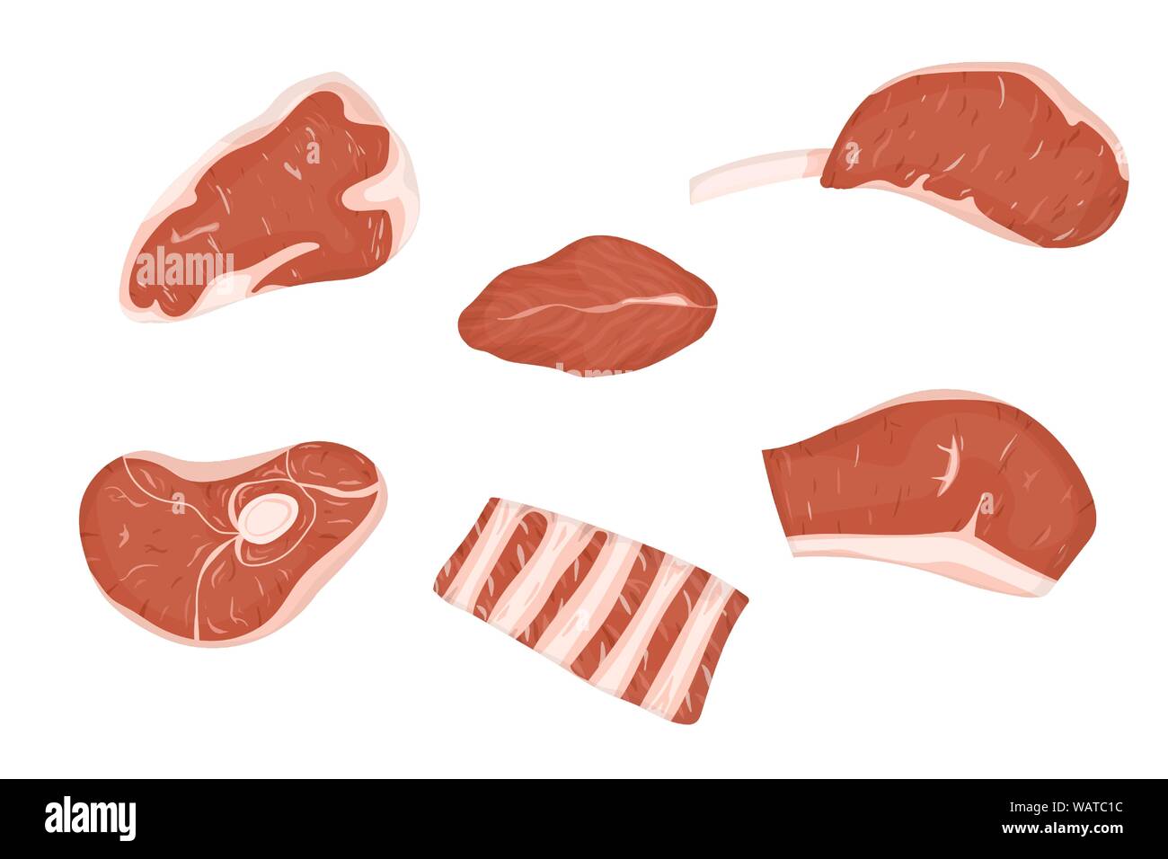 Set of red meats cuts. Vector Illustration. White background Stock ...