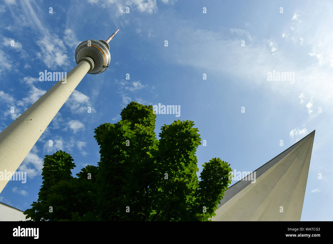 Berlin, Germany. 20th Aug, 2019. The Berlin television tower at ...