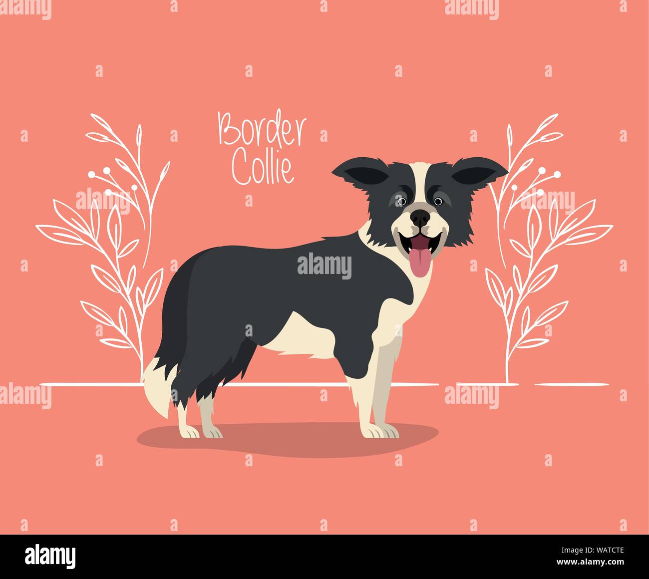Cute beautiful collie in Stock Vector Images - Alamy