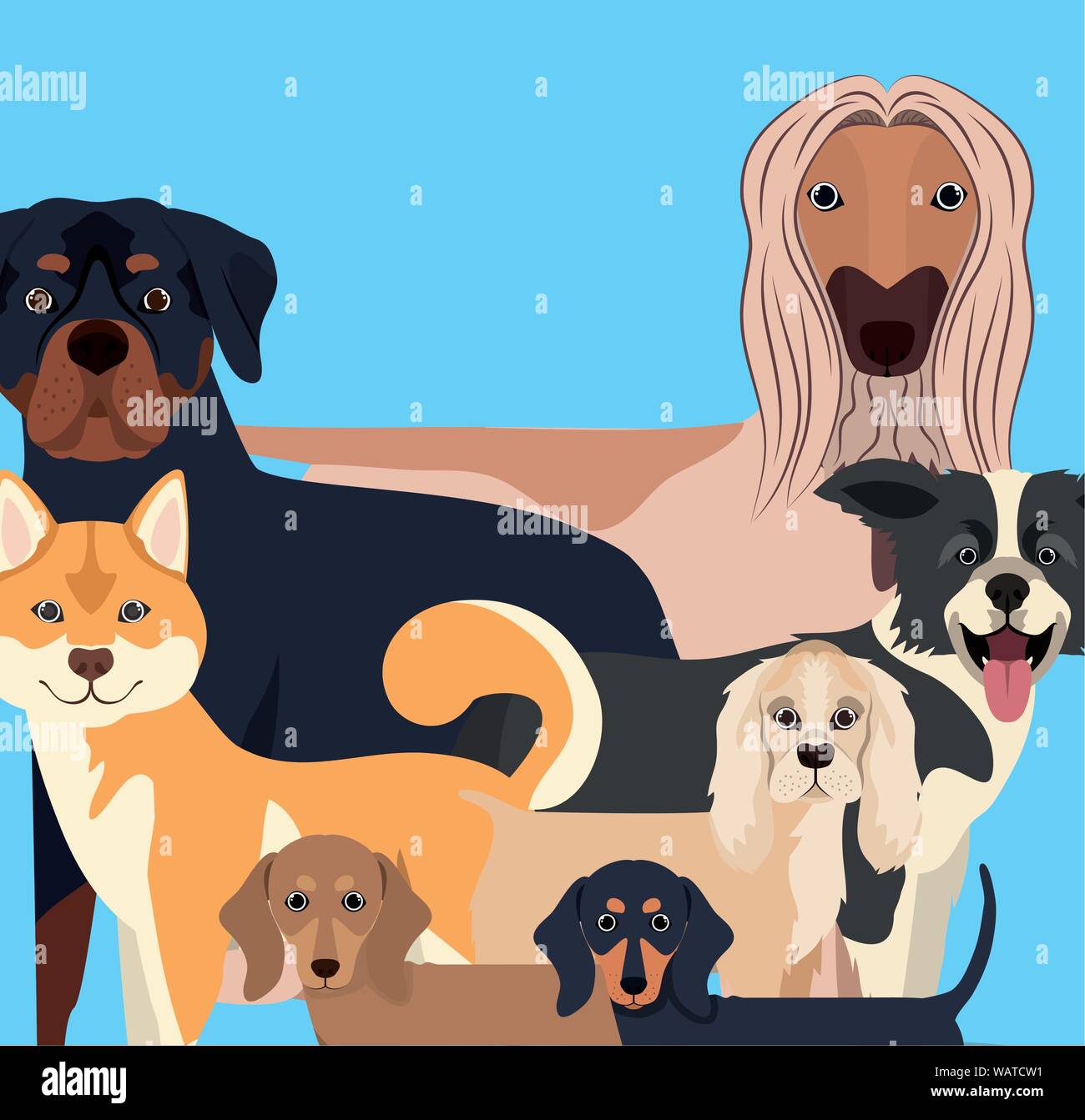 group of dogs pets characters Stock Vector Image & Art - Alamy