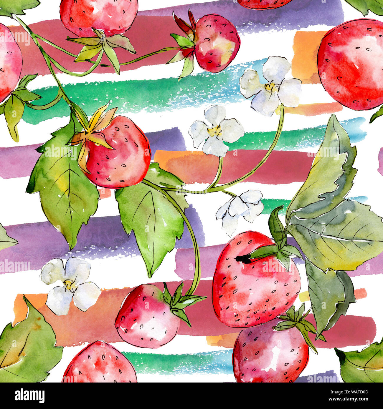 Strawberry healthy food. Watercolor background illustration set ...
