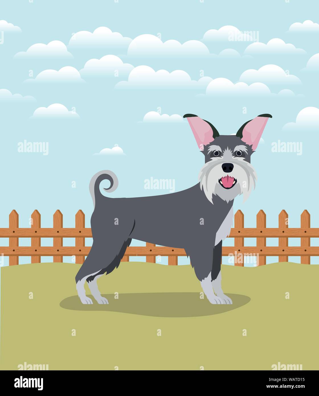 cute schnauzer dog pet character in the camp Stock Vector Image & Art ...